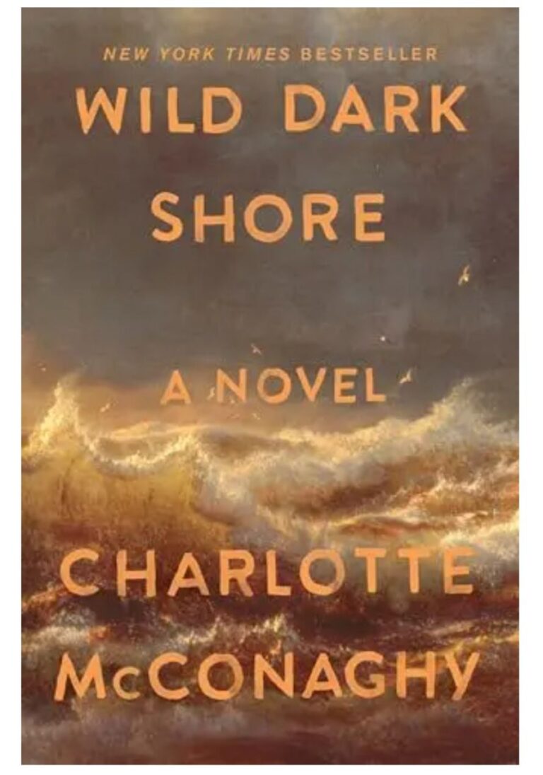 November Book Club 2025 Spoilers – Book Nerd Alert